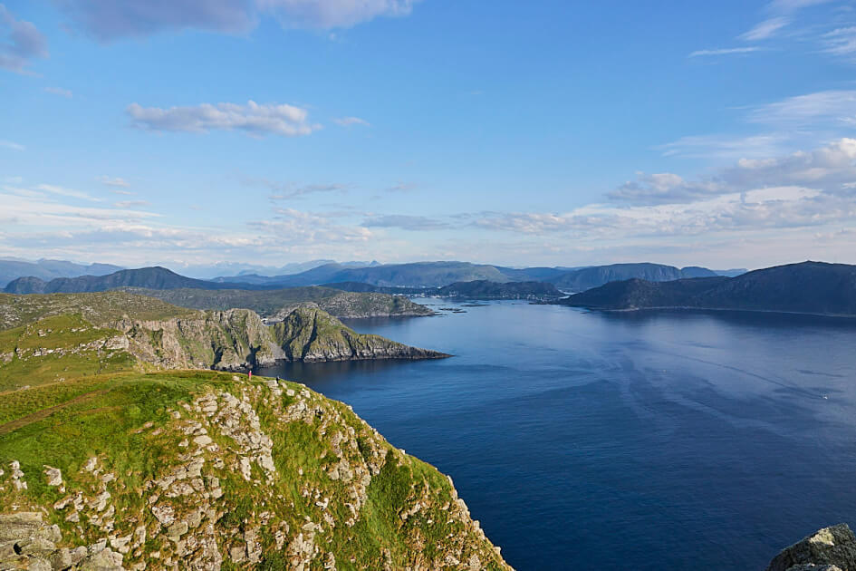 Papageientaucher auf der Insel Runde in Norwegen